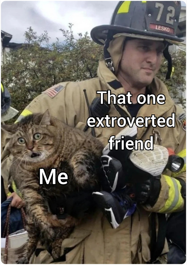 A Steaming Pile of Dank Memes