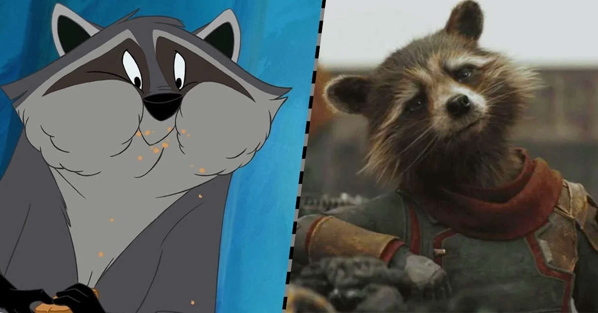 15 intriguing trash panda facts about our furry friends; the raccoons