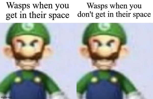 A Steaming Pile of Dank Memes