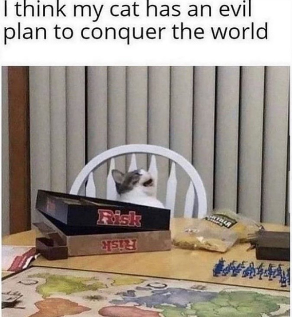 A Cat Lady Approved Cat Saturday