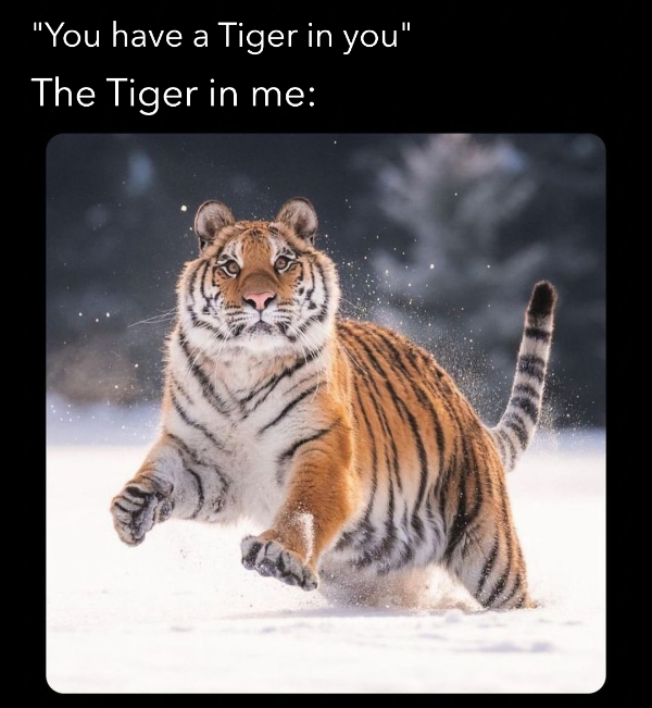 Escape Reality With Dank Memes