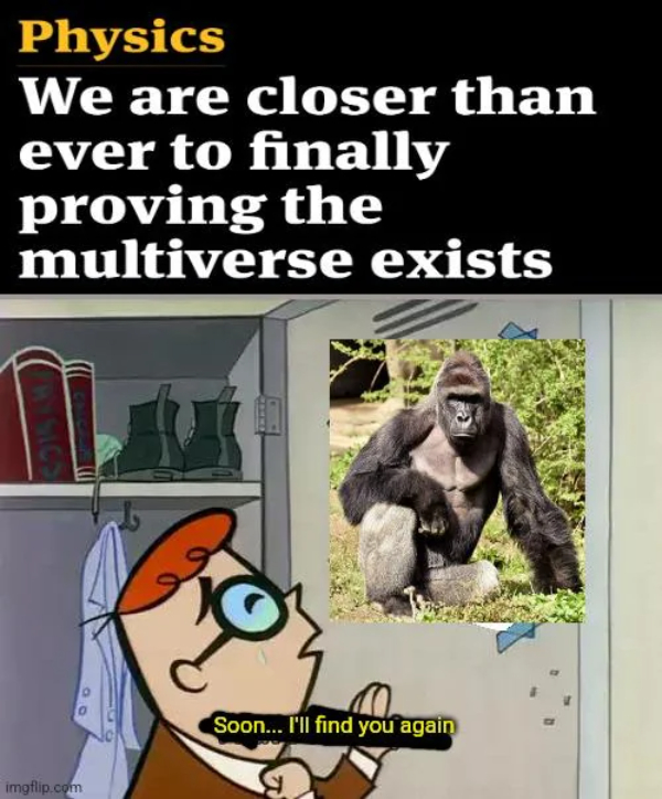 Memes So Dank They’re Practically Wet
