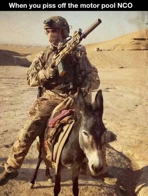 Memes for Military Monday Funny Photo Captions and Humor GIFs