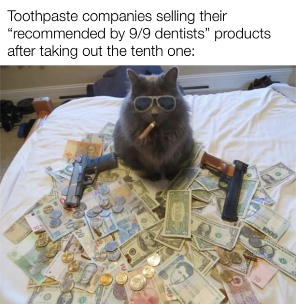 Bask in the Dankness of Dank Memes