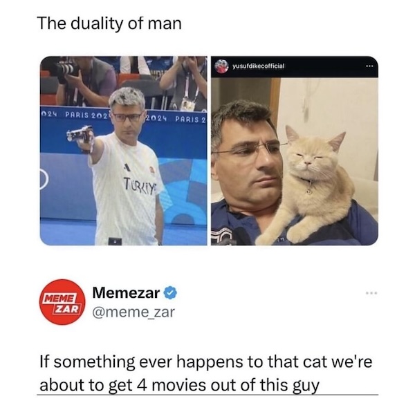 Animal memes that also accurately describe the human experience