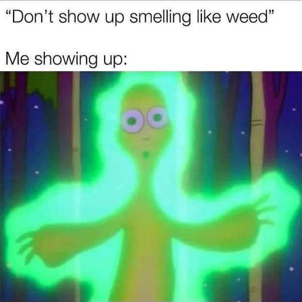 Beer-a-FULL Memes Funny Drinking Friday Pics Stupid Wis-DUMB Thoughts