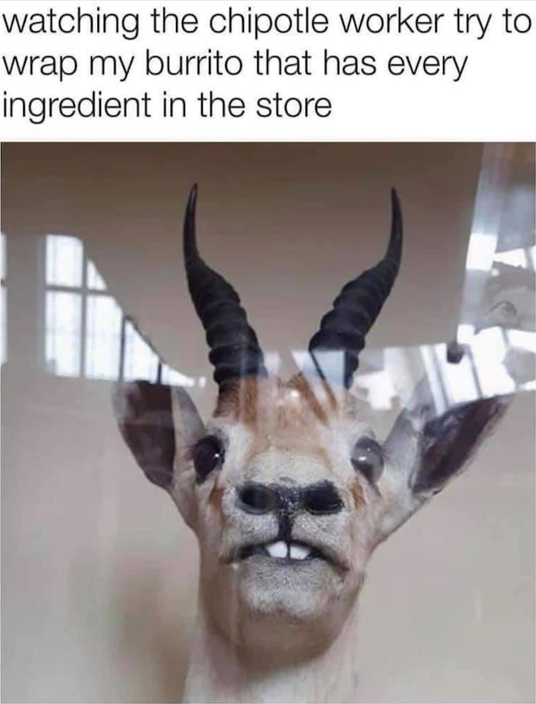 Cheesy Memes Funny Morning Sucks Photo Captions Best Randomness Pics