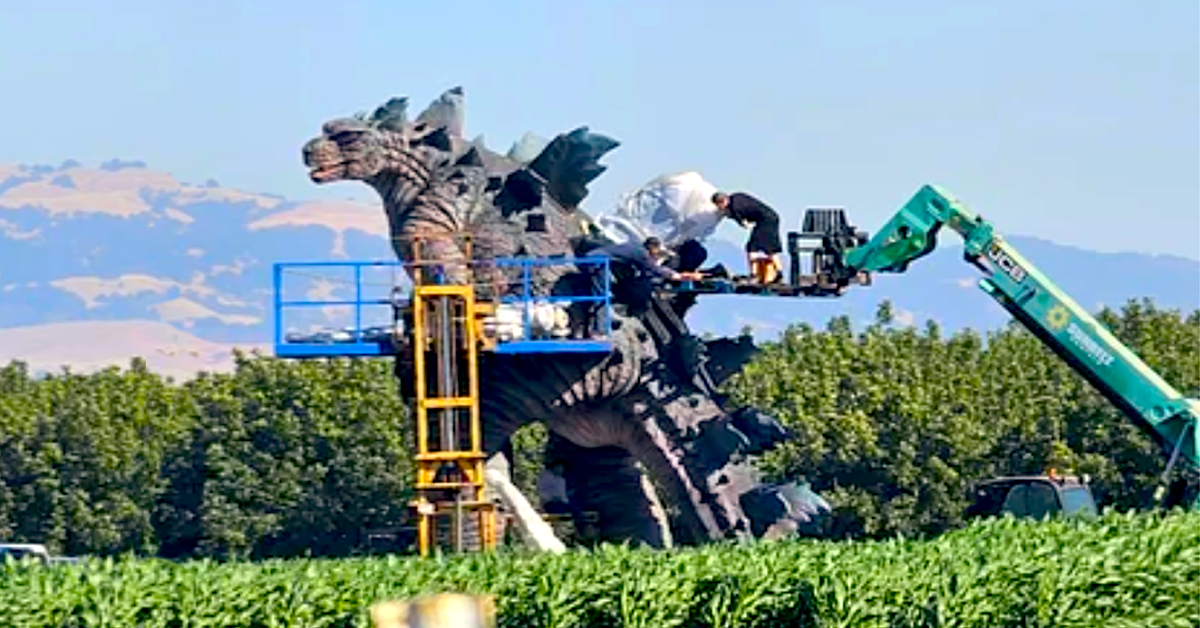 Daily Afternoon Randomness | Random Memes, Photos & Gifs - theCHIVE