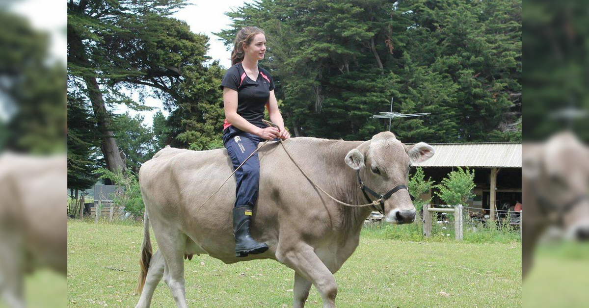 theCHIVE - Funny Pictures, Photos, Memes & Videos – theCHIVE.com