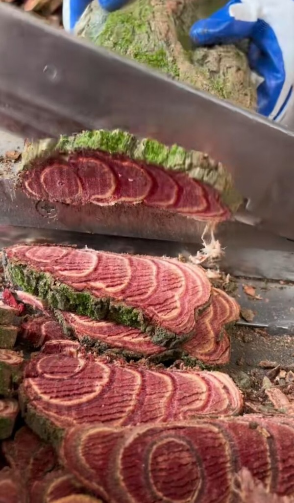 Despite their appearance, you can't have any of this "Forbidden Food"