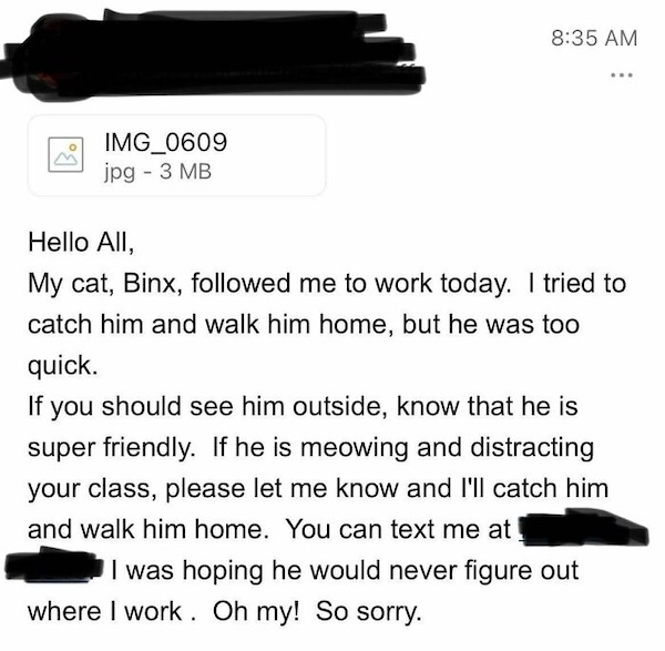 These emails found us in the funniest ways