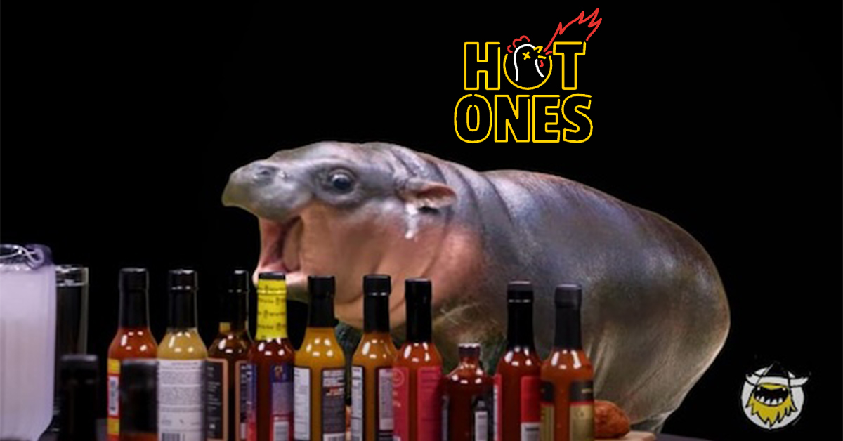 Moo Deng memes for the happy hippo everyone is obsessed with