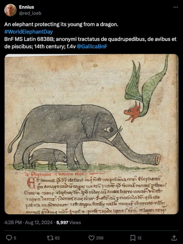 Medieval Art and Animals mix as well as Oil and Water
