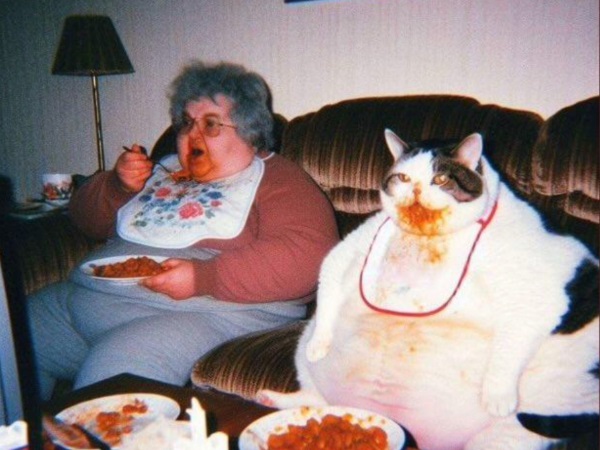 AI Is Smart... But Terrifyingly Imperfect