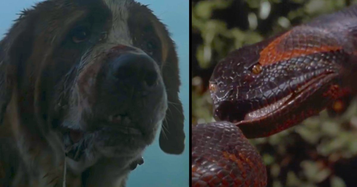 15 horrifying animals from that totally stole the film