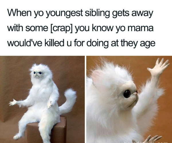 Sibling Memes Are All Too Relatable