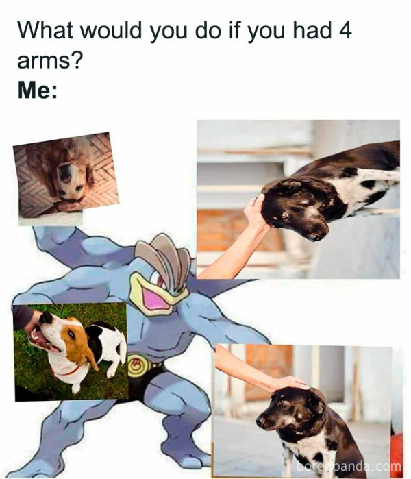 Enjoy a Happy Dappy Dump of Wholesome