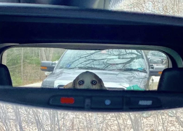 Scary sights that are all together terrifying