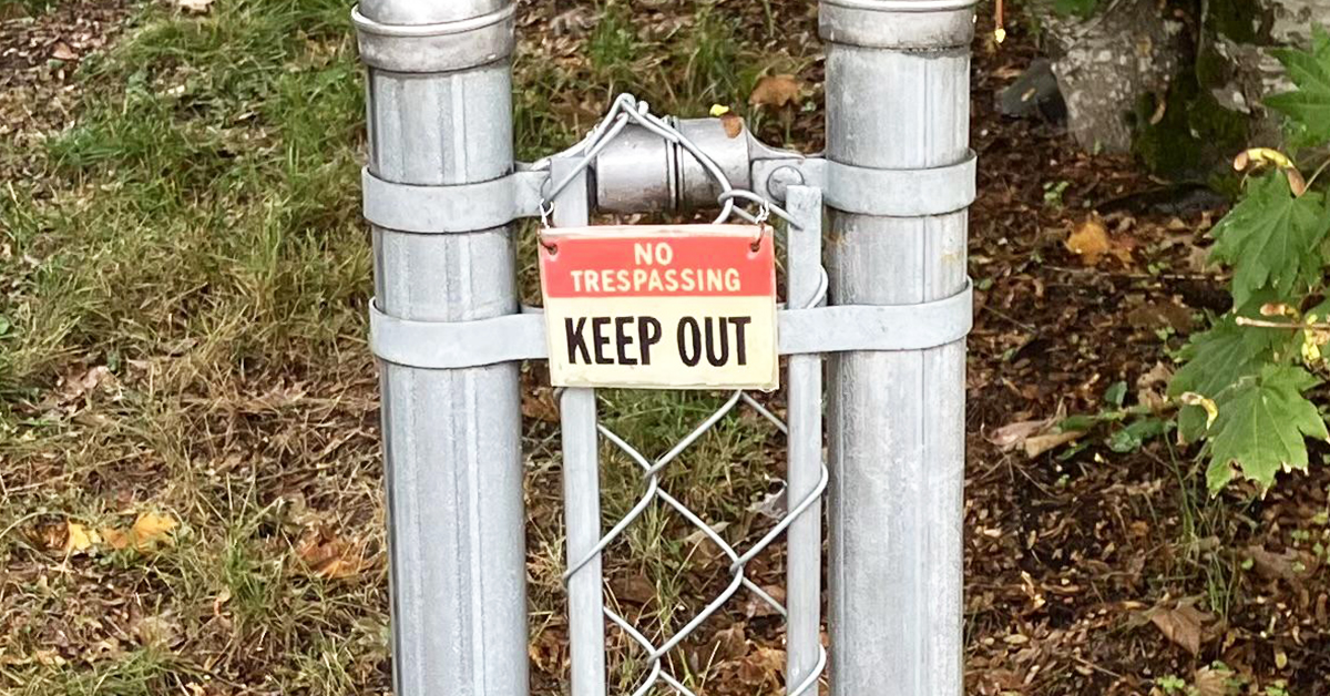 Daily Afternoon Randomness | Random Memes, Photos & Gifs - theCHIVE