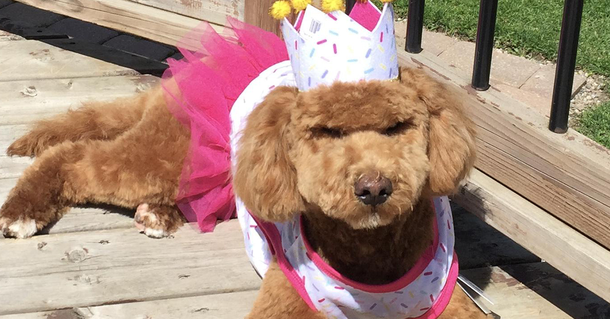 Daily Afternoon Randomness | Random Memes, Photos & Gifs - theCHIVE