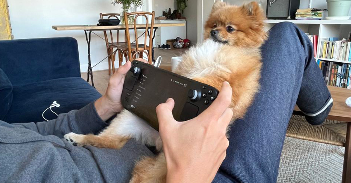 Daily Afternoon Randomness | Random Memes, Photos & Gifs - theCHIVE