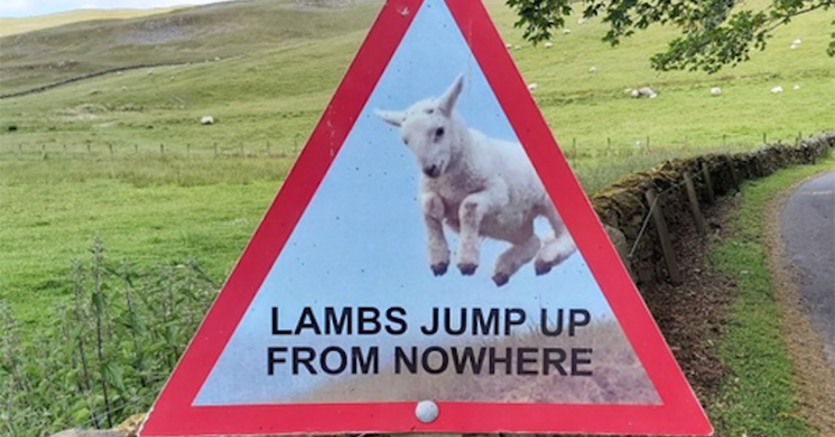 Daily Afternoon Randomness | Random Memes, Photos & Gifs - theCHIVE