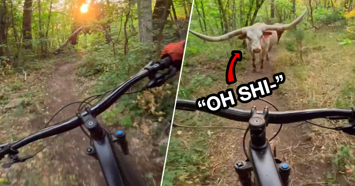 Epic Fails | Funny Fail Memes, Videos, and Pics - theCHIVE