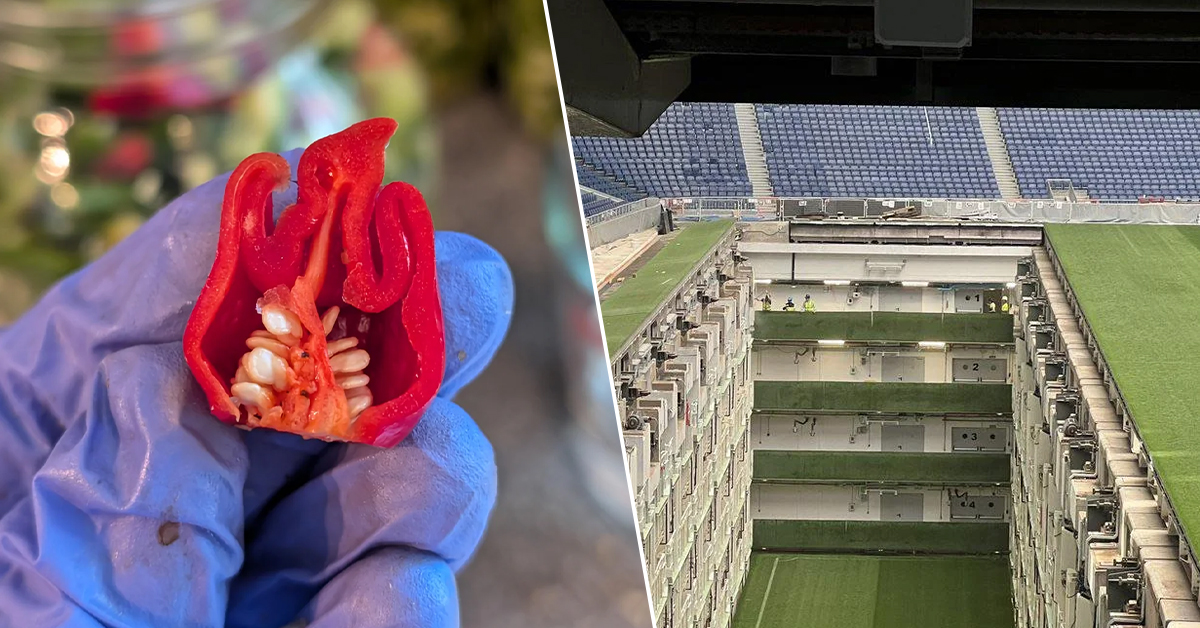 That's the most interesting thing I've seen today