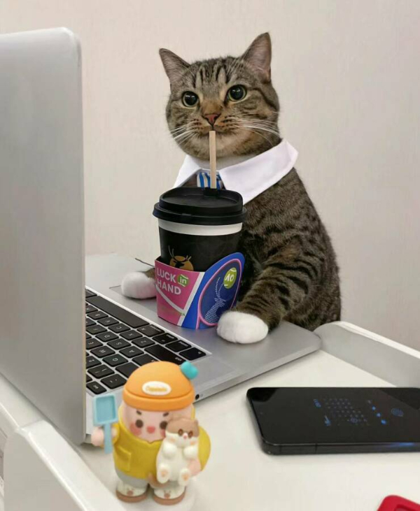 Cat Saturday: Paws Are Cause for Applause