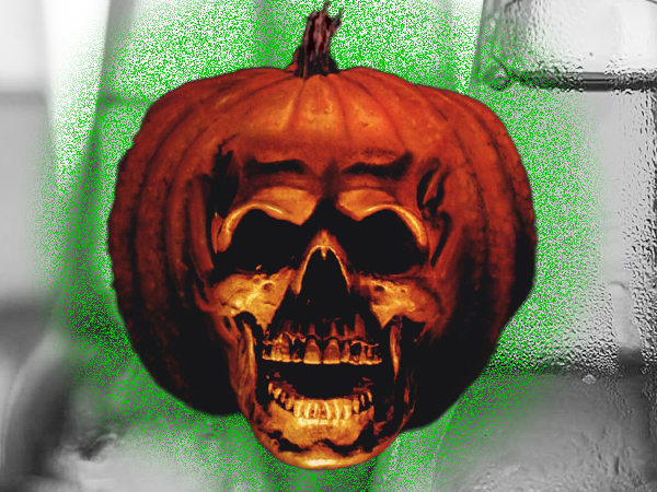 10 basic pumpkin beer facts to take a swig of