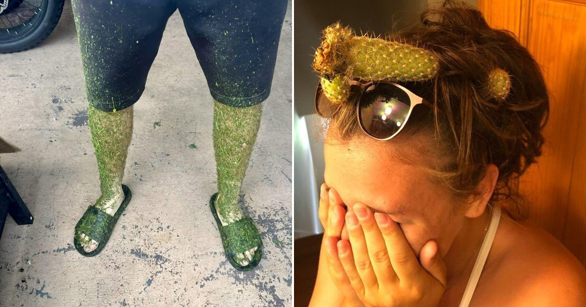 You Got Owned! | Owned Memes & Owned Gifs - theCHIVE