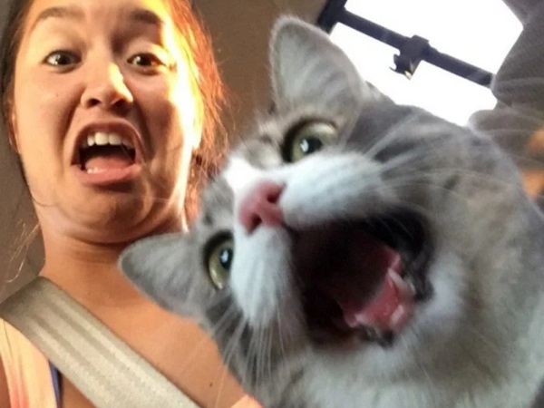 Cat Saturday: Paws Are Cause for Applause