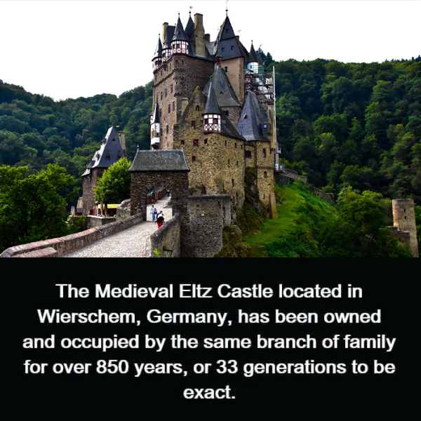 Some of the most unusual facts you've ever heard