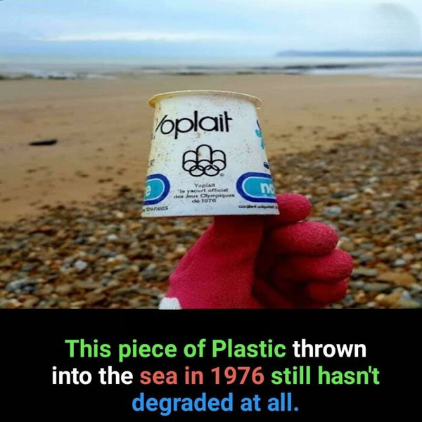 Some of the most unusual facts you've ever heard