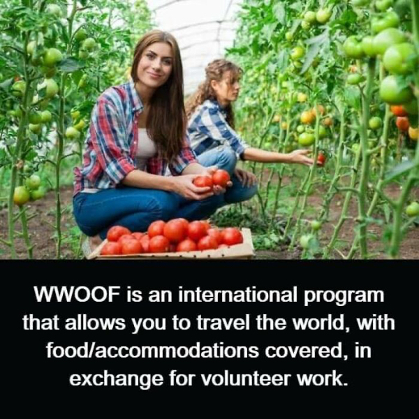 Some of the most unusual facts you've ever heard