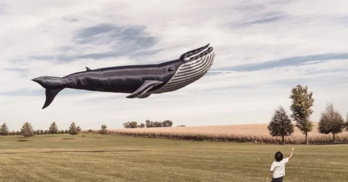 Daily Morning Awesomeness | Awesome Morning Pics, Gifs & More - theCHIVE