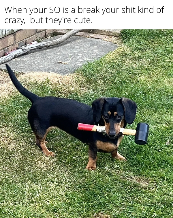 Bask in the Dankness of Dank Memes