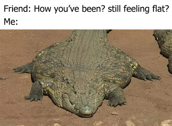 Bask in the Dankness of Dank Memes