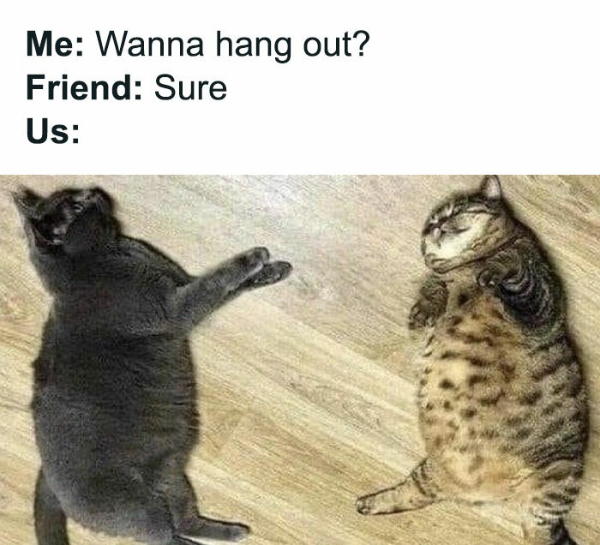 Take a Journey to a Mountain of Mindless Memes