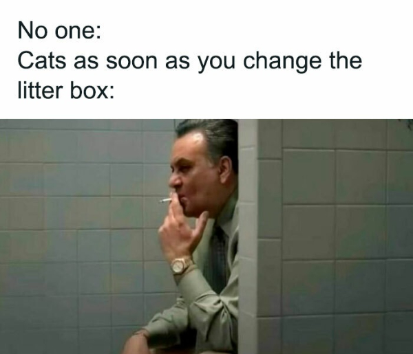 Take a Journey to a Mountain of Mindless Memes