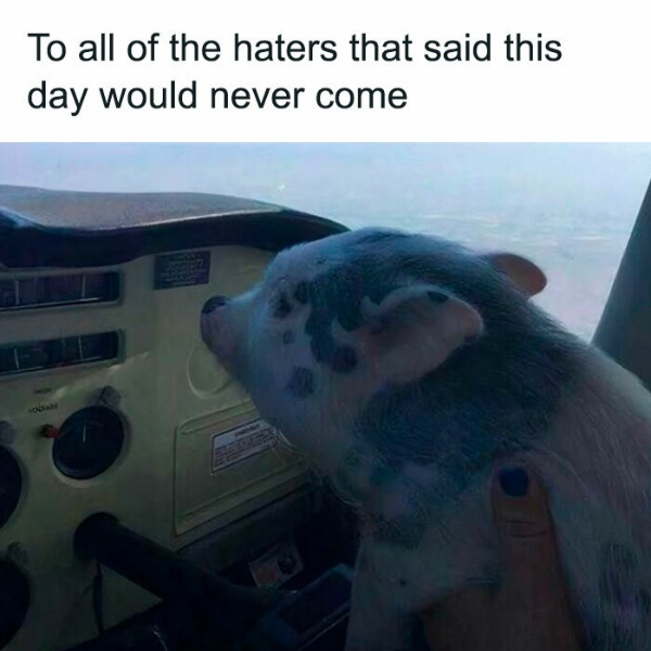 Take a Journey to a Mountain of Mindless Memes