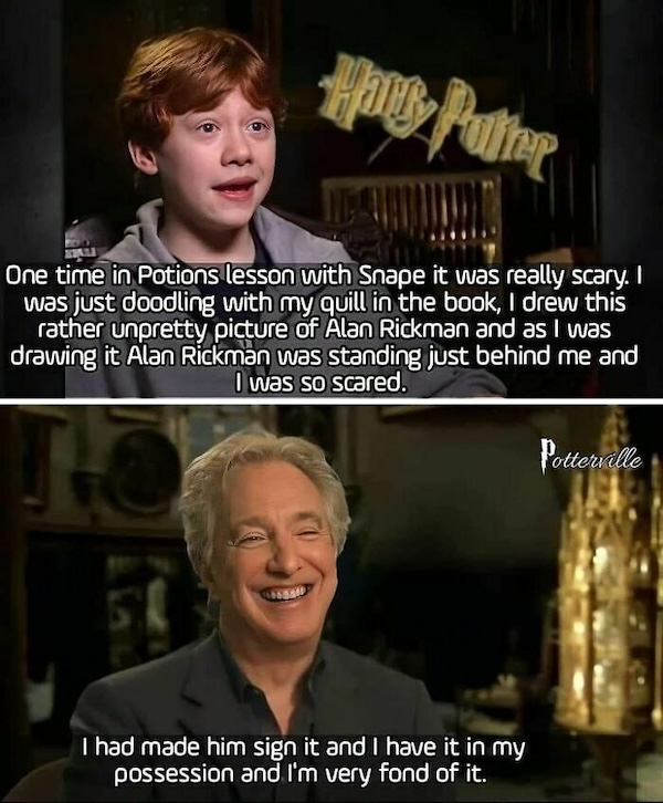 The Wizarding World of Memes is magical