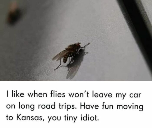 Take a Journey to a Mountain of Mindless Memes