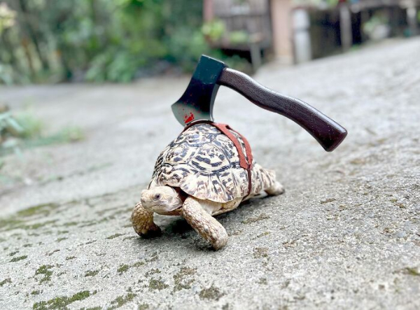 Halloween Pet Costumes That Made Us All Quiver With Adoration