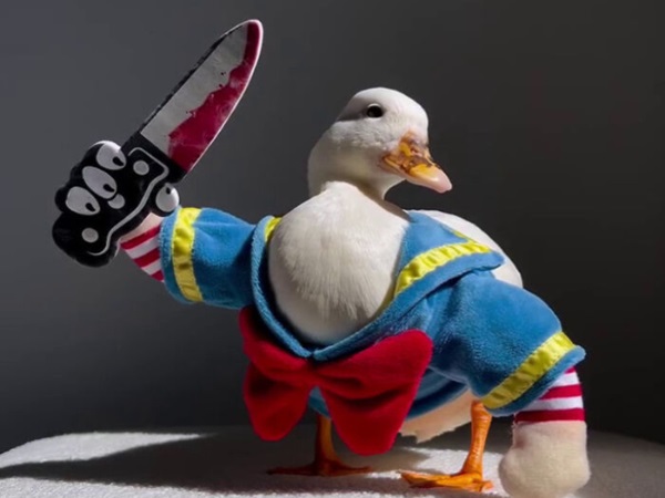 Halloween Pet Costumes That Made Us All Quiver With Adoration