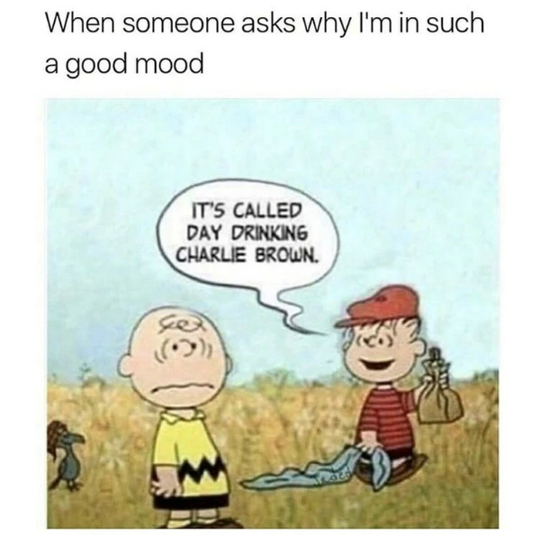 Booze Memes To Battle That Hangover (Photos)