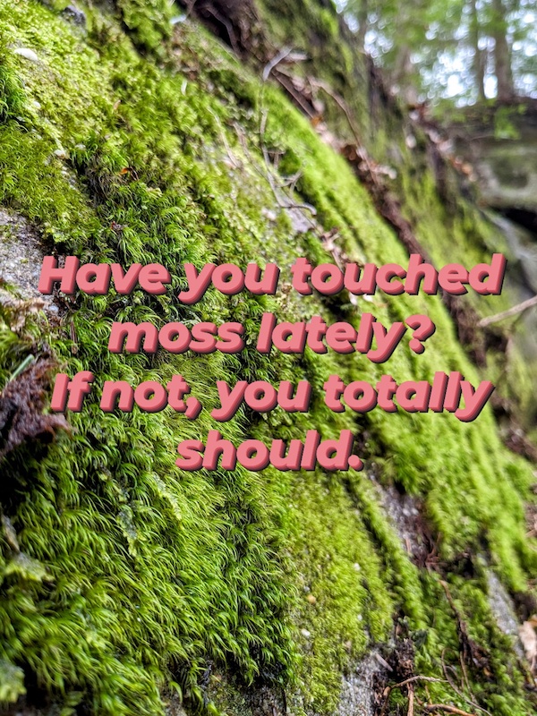 Cheesy Memes Funny Tuesda Morning Photo Captions Best New 2024 Picture