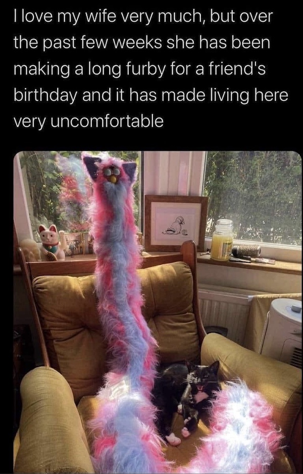 Cheesy Memes Funny Tuesda Morning Photo Captions Best New 2024 Picture