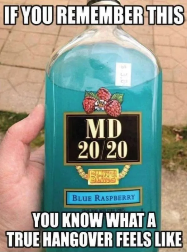 Memes Hangover Stupidly Simple Jokes and Photo Captions