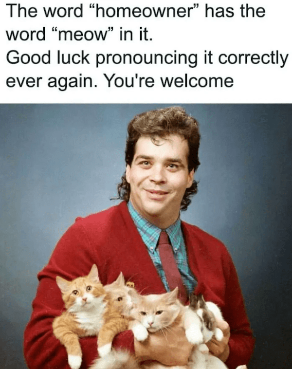Mind-LESS Memes for Stupid Funny Logic Photo Captions 2024 New Picture